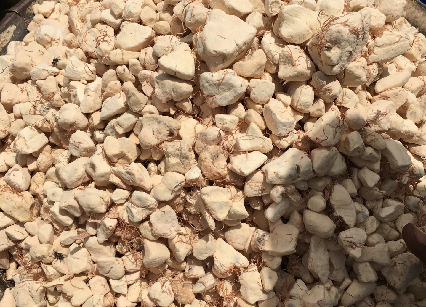 Alangba_WamoNunyali - Wamo Nunyali - Wamo Nunyali